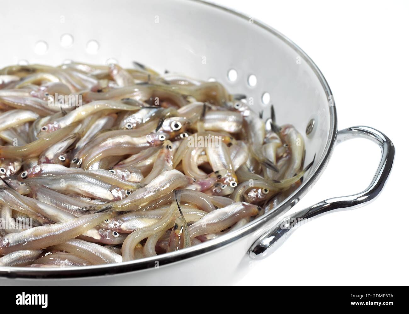 Fresh Smelts, osmerus eperlanus against White Background Stock Photo ...
