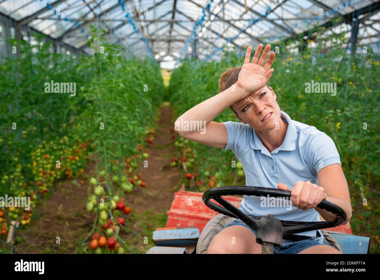 tired while working in a greenhouse on a tractor Stock Photo - Alamy