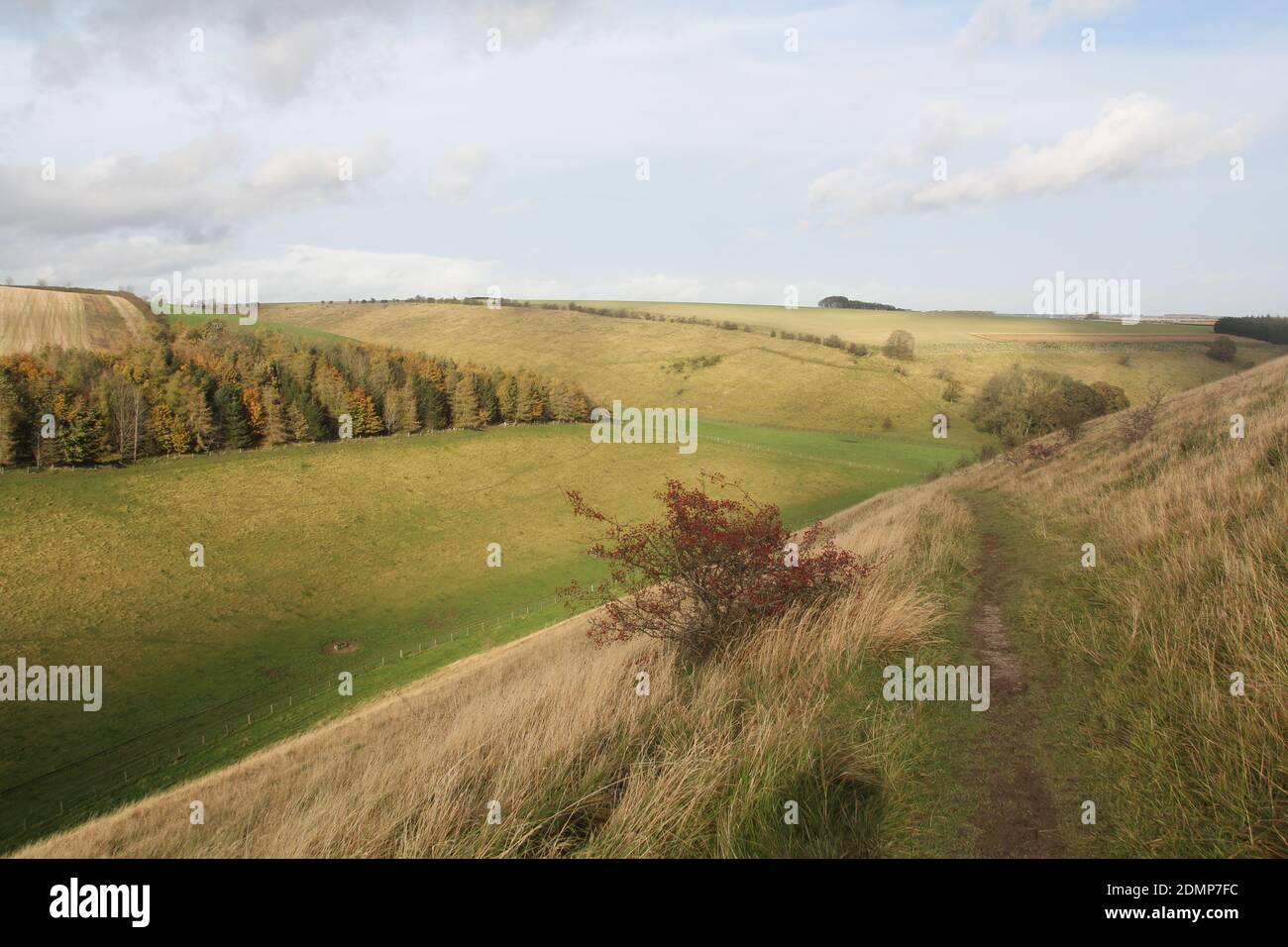 The Yorkshire Wolds Way, Horse Dale Stock Photo - Alamy