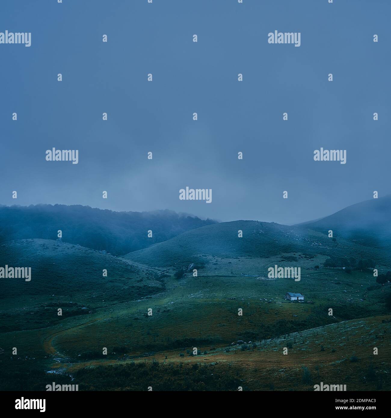 Dark sunset in the foggy Irati Forest of Navarre, in Spain Stock Photo ...