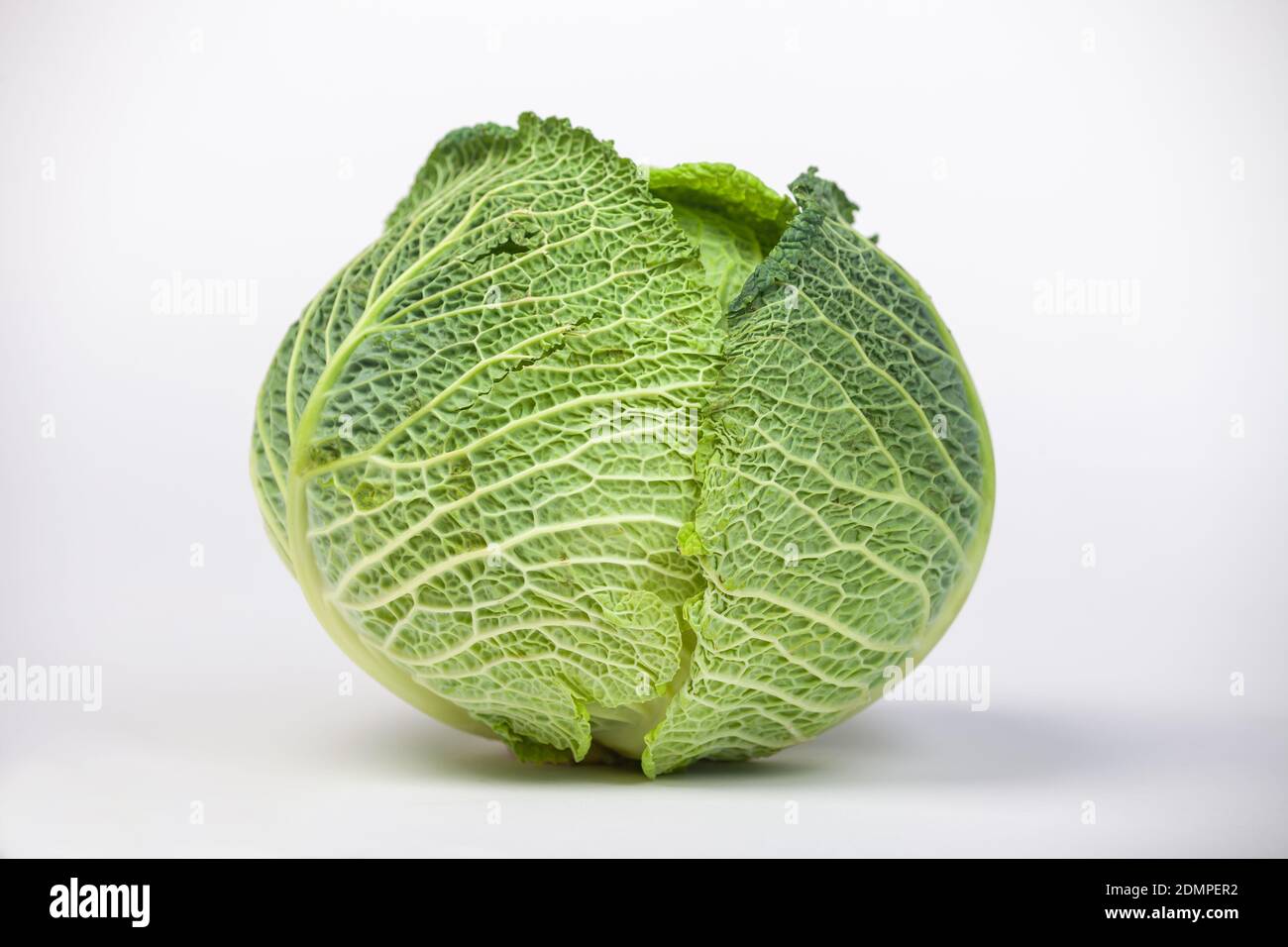 A single cabbage on a white background Stock Photo - Alamy