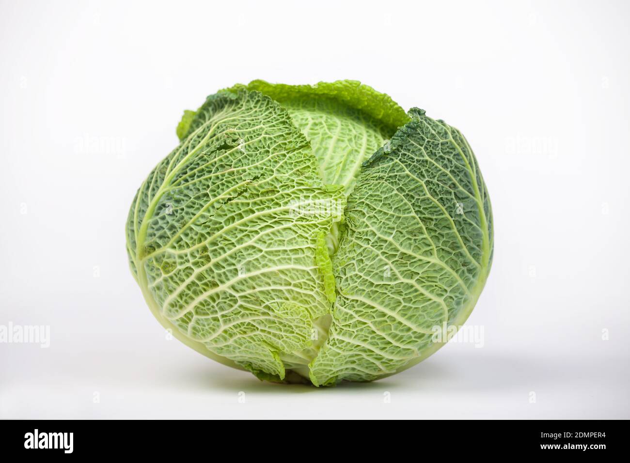 Cabbage meals hi-res stock photography and images - Alamy