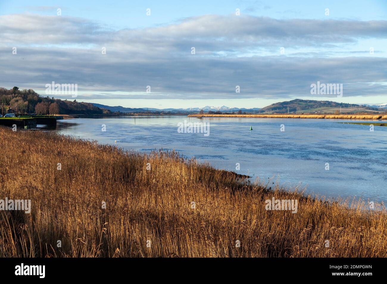 The river Tay at Newburgh looking towards Perth, Scotland Stock Photo ...