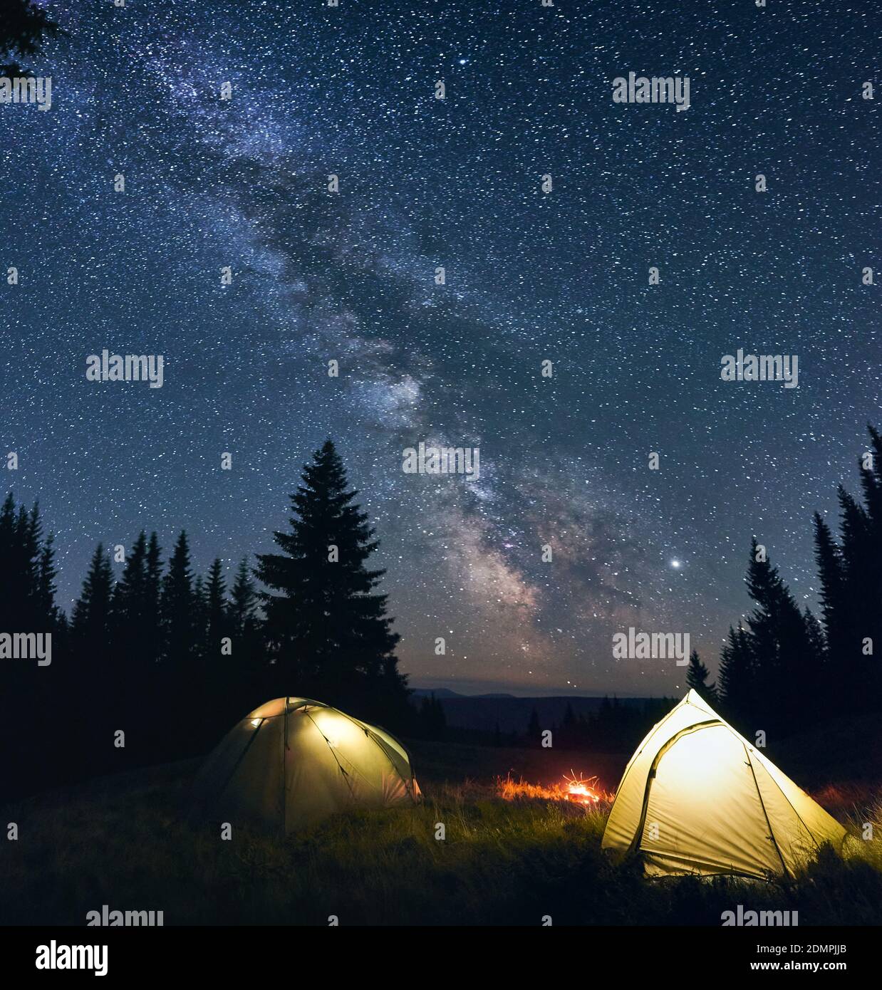 Night camp with burning bonfire and two tents in pine forest under ...