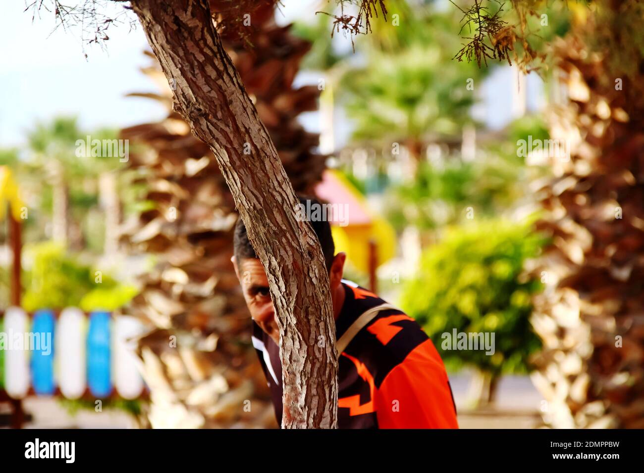 Hiding behind palm tree hi-res stock photography and images - Alamy