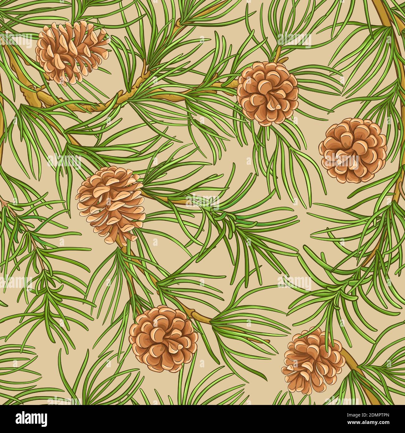 Medicinal plant of the year Stock Vector Images - Alamy