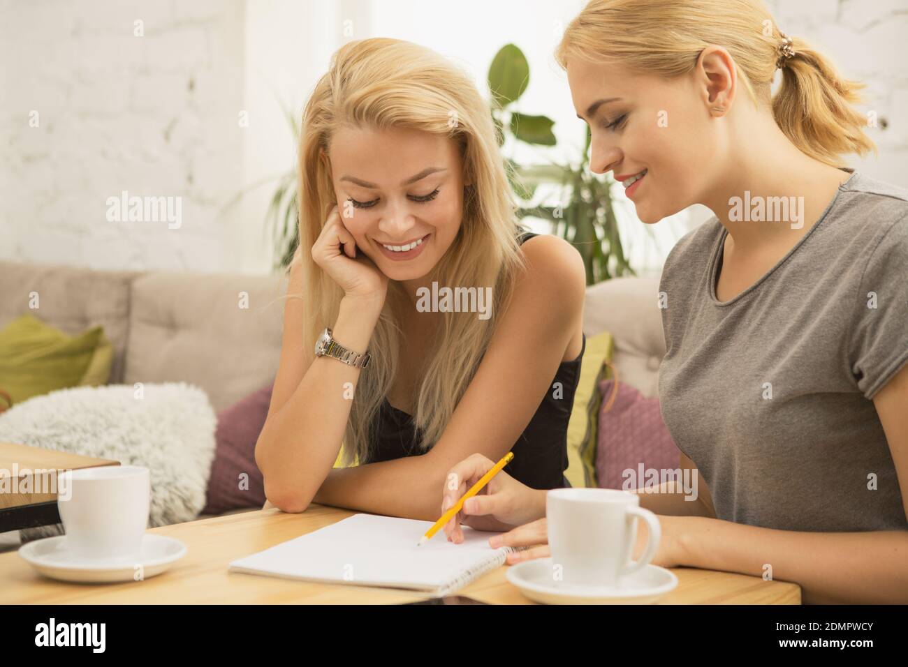 Two young female students doing homework at the campus cafeteria ...