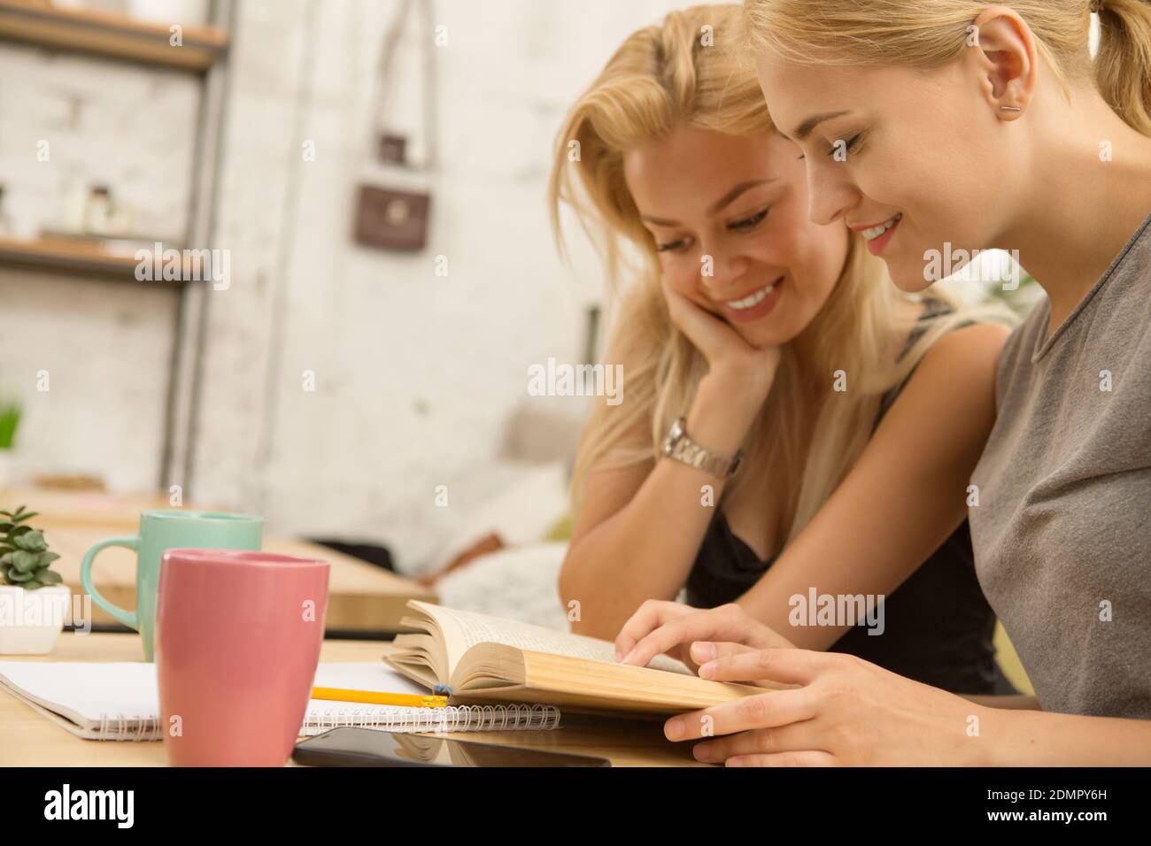 SHot of two young beautiful girls studying together at the coffee shop ...