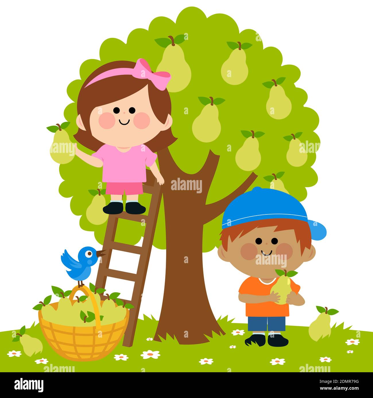 Cartoon pears hi-res stock photography and images - Alamy