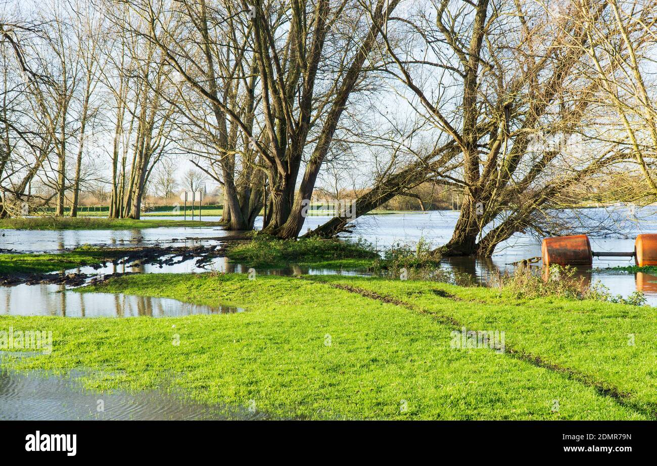 Flooded river bank background scene Stock Photo - Alamy
