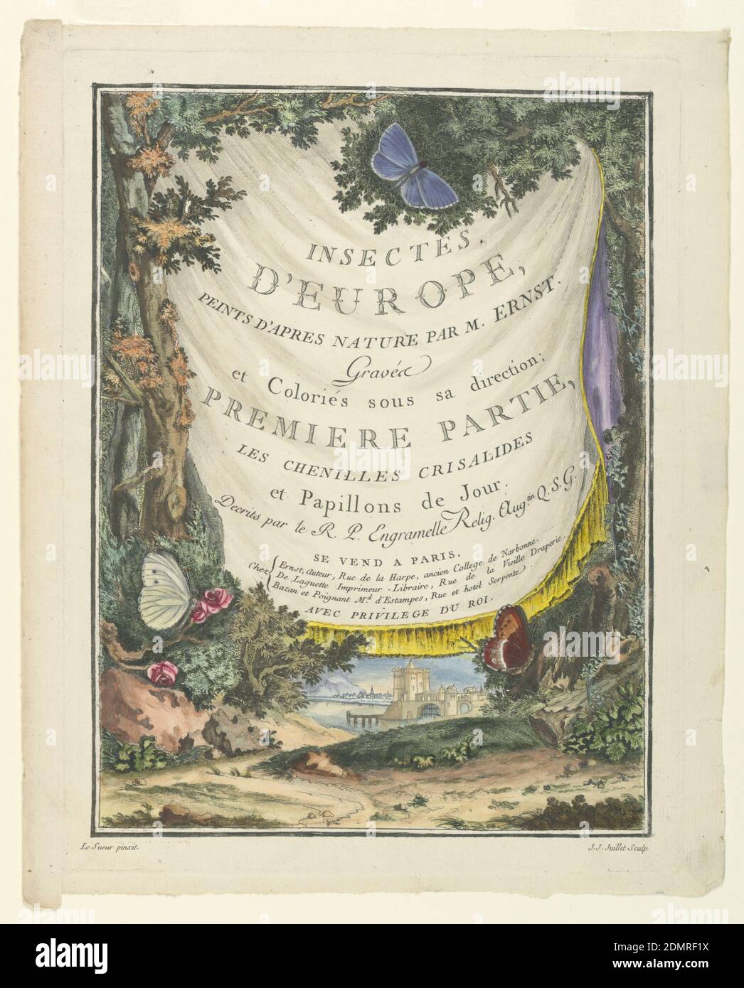 Insectes insectes hi-res stock photography and images - Alamy