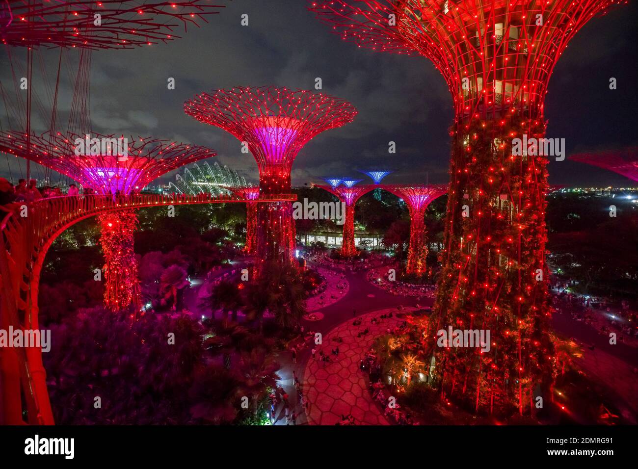 Singapore: night view of supertrees in the Gardens by the Bay (park ...