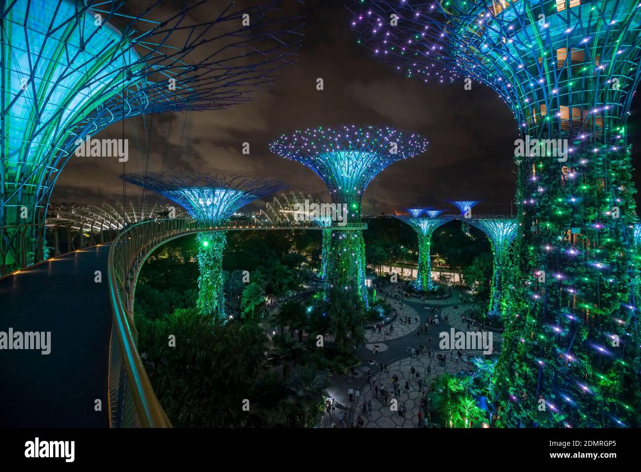 Singapore: night view of supertrees in the Gardens by the Bay (park ...