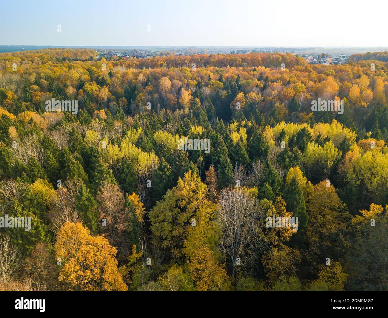 Autumn colors of the forest, photos from a drone. Beautiful autumn ...