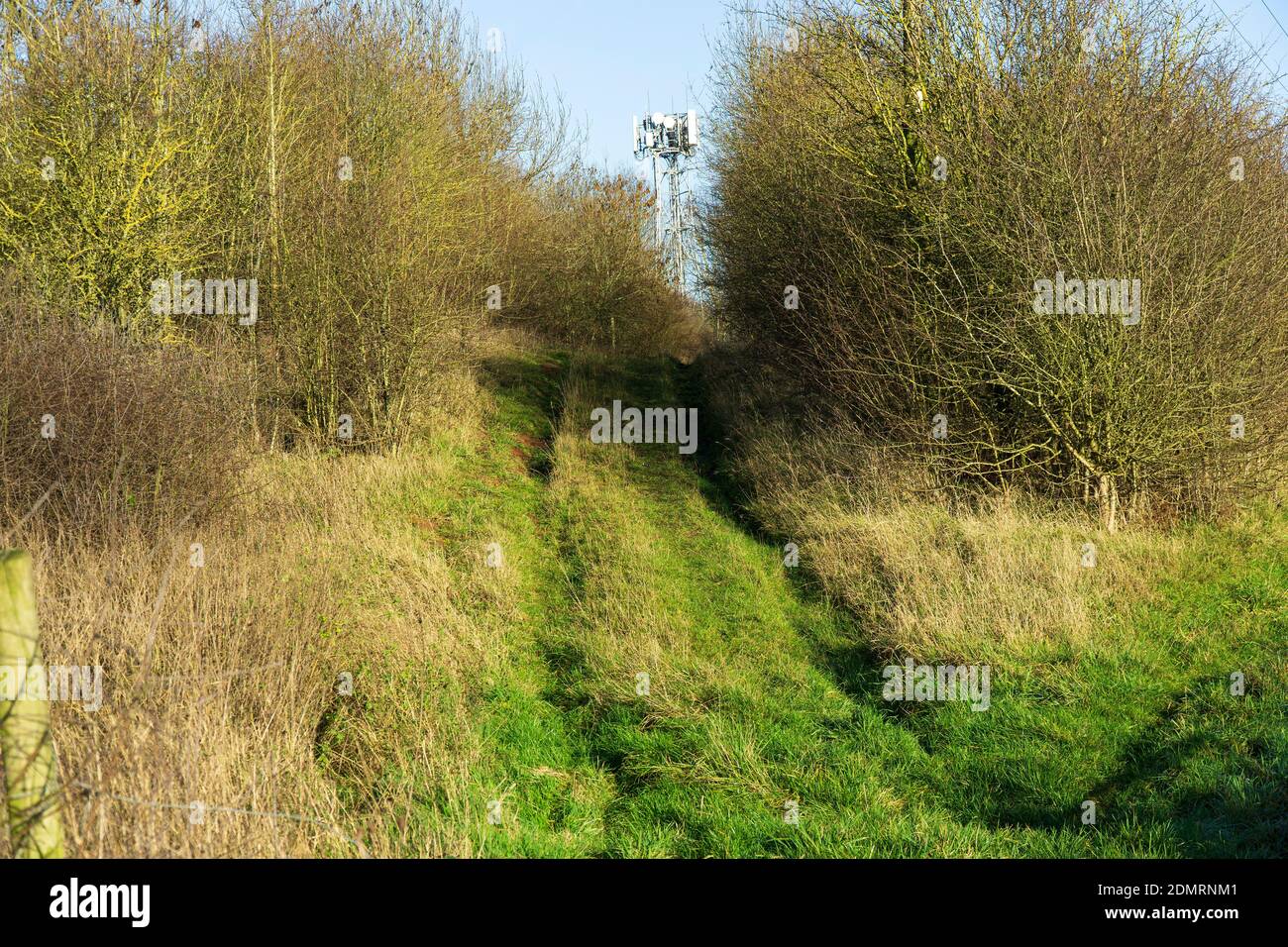 Rough grass track on a hill Stock Photo - Alamy