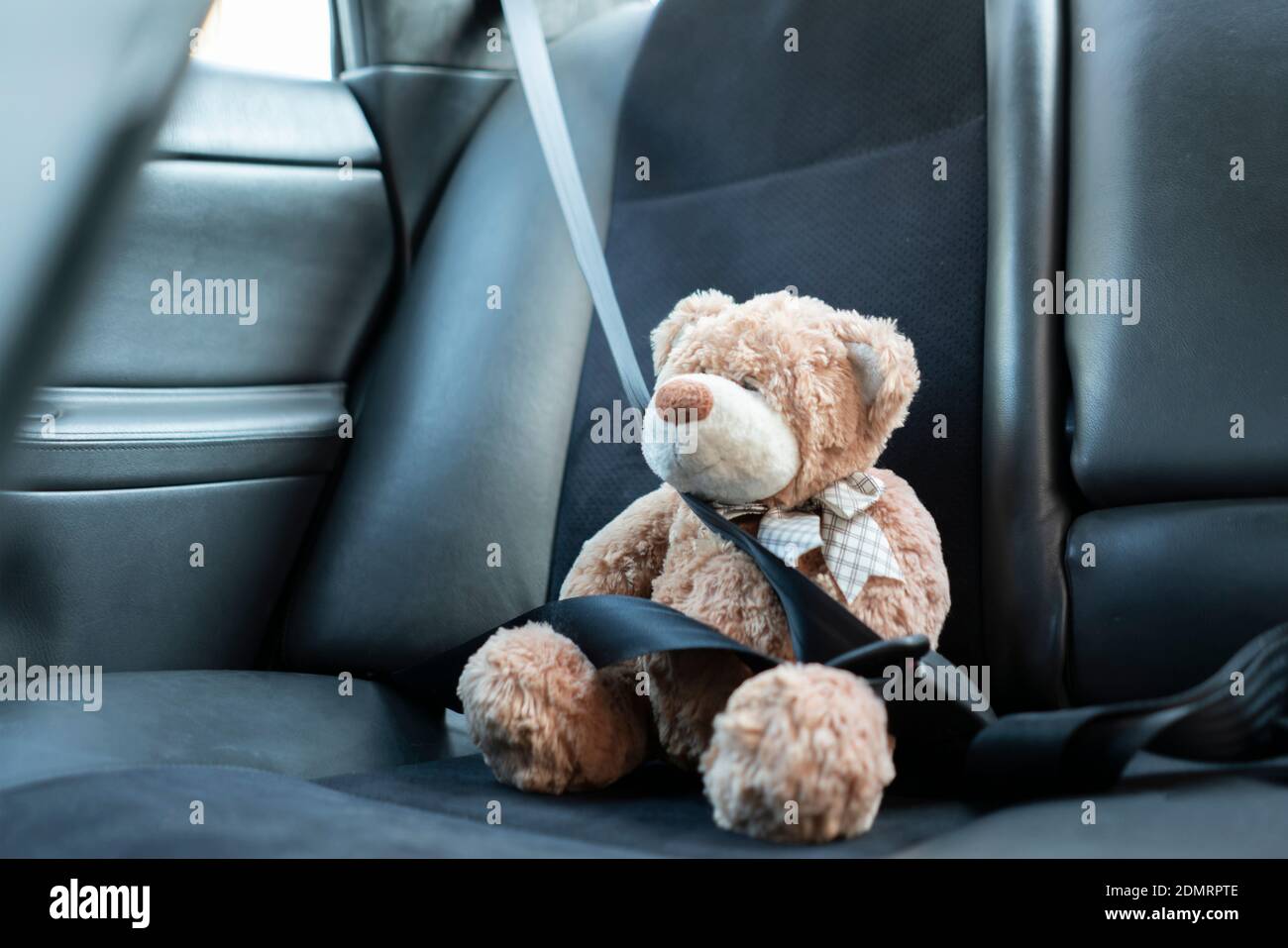 small teddy bear protected with safety belt in car, vehicle accident ...