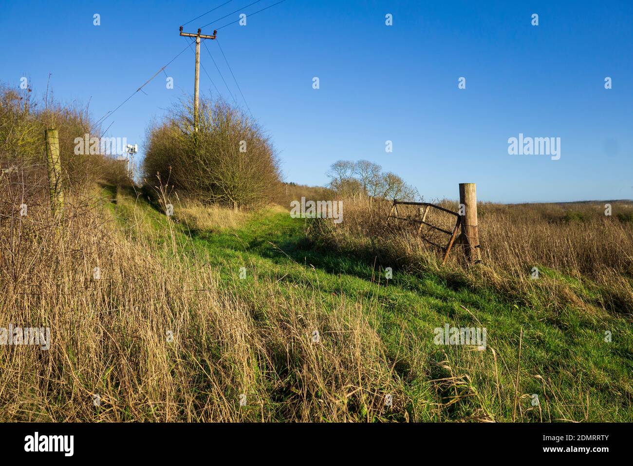 Old metal farm gate next to a path Stock Photo - Alamy