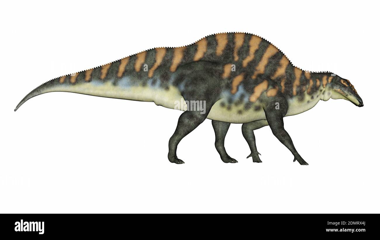 Ouranosaurus dinosaur hi-res stock photography and images - Alamy