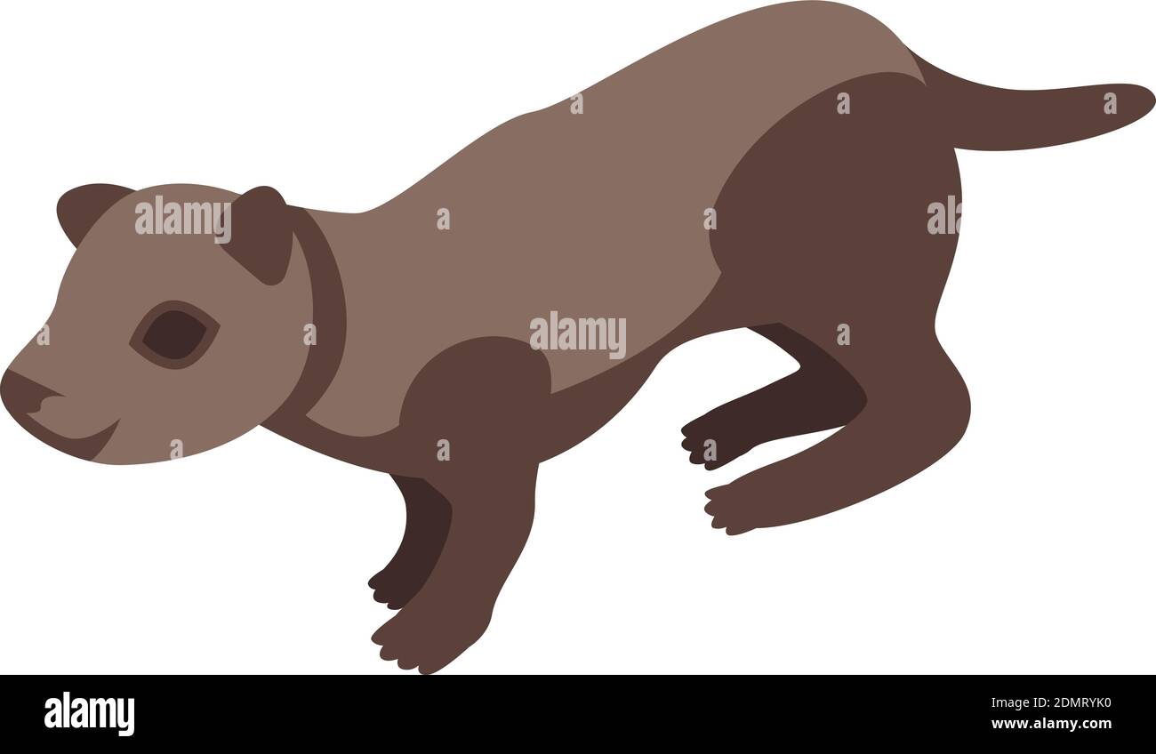 Mink icon. Isometric of mink vector icon for web design isolated on ...