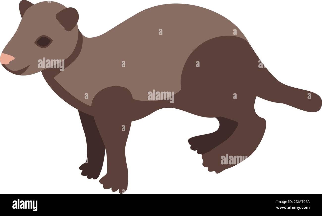 Zoo mink icon. Isometric of zoo mink vector icon for web design ...