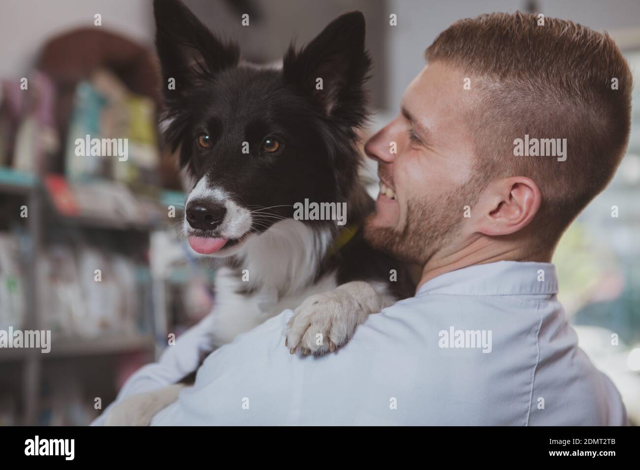 Close up shot veterinarian doctor hi-res stock photography and images ...