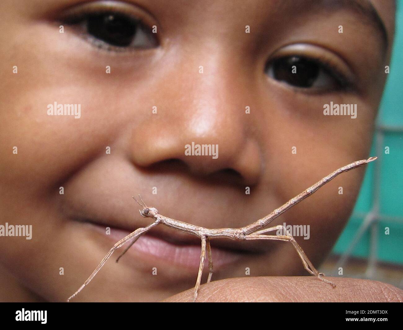 Baby wild animals cute hi-res stock photography and images - Alamy