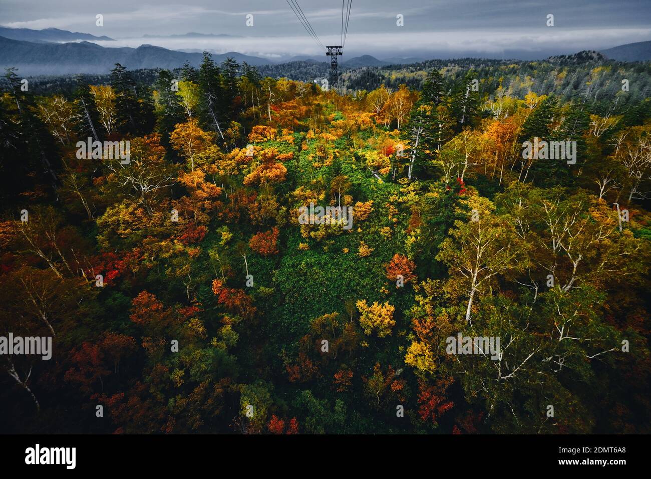 Mt. Asahi, Autumn foliage Stock Photo - Alamy