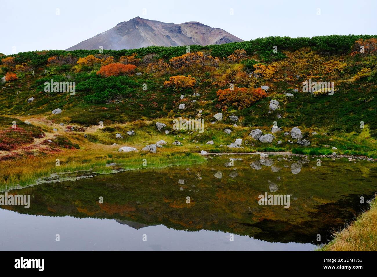 Mt. Asahi, Autumn foliage Stock Photo - Alamy