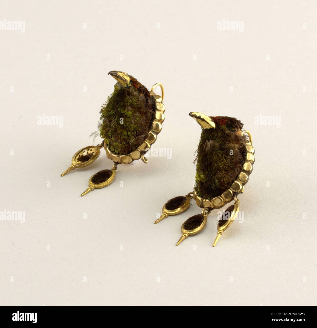 Hummingbird heads hi-res stock photography and images - Alamy