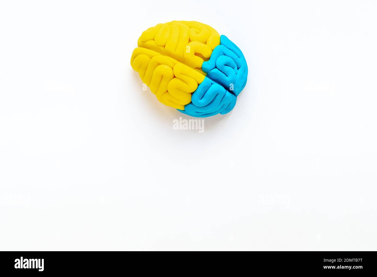 Mental health concept. Human brain of colorfull clay, top view Stock ...