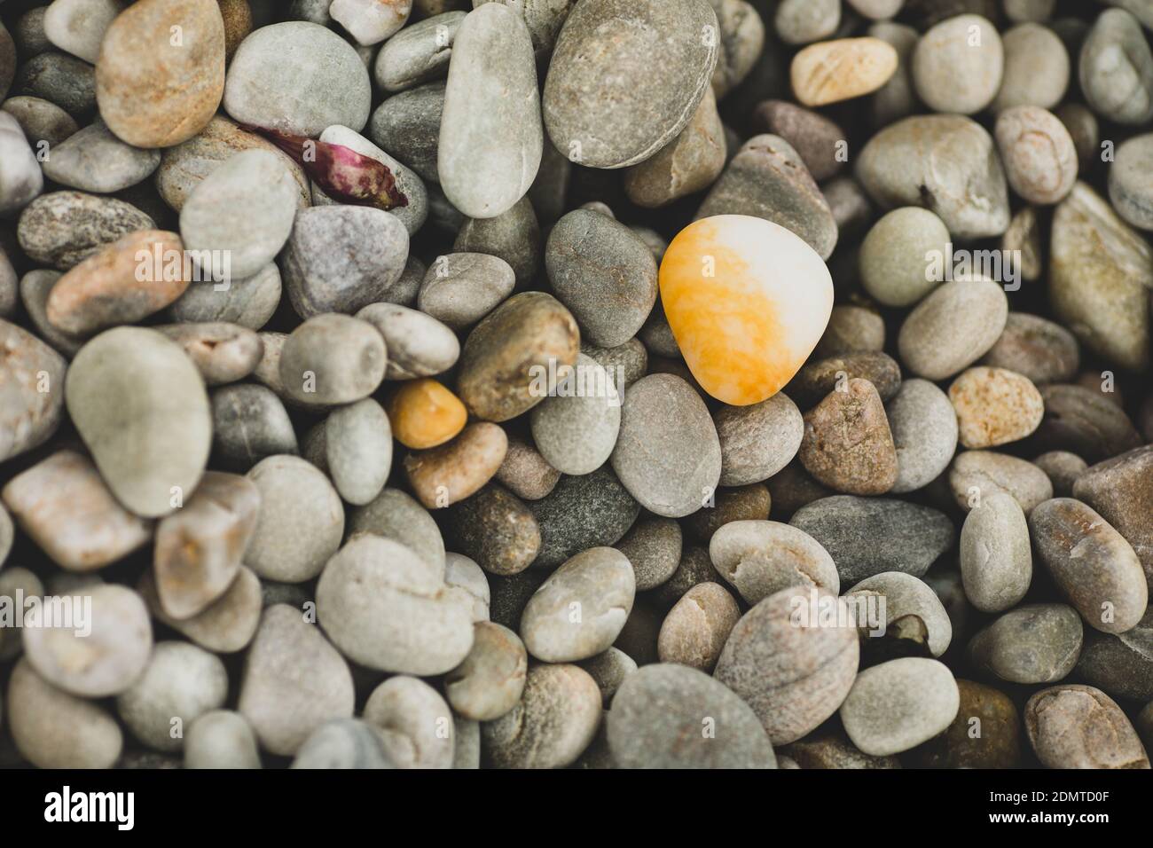 Stones on the beach Stock Photo - Alamy