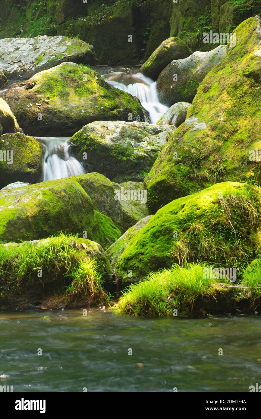 Kikuchi Gorge in Summer, Kumamoto Prefecture, Japan Stock Photo - Alamy