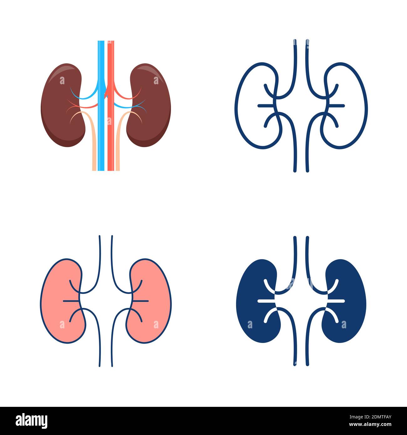 Human kidneys icon set in flat and line style. Urinary system part ...