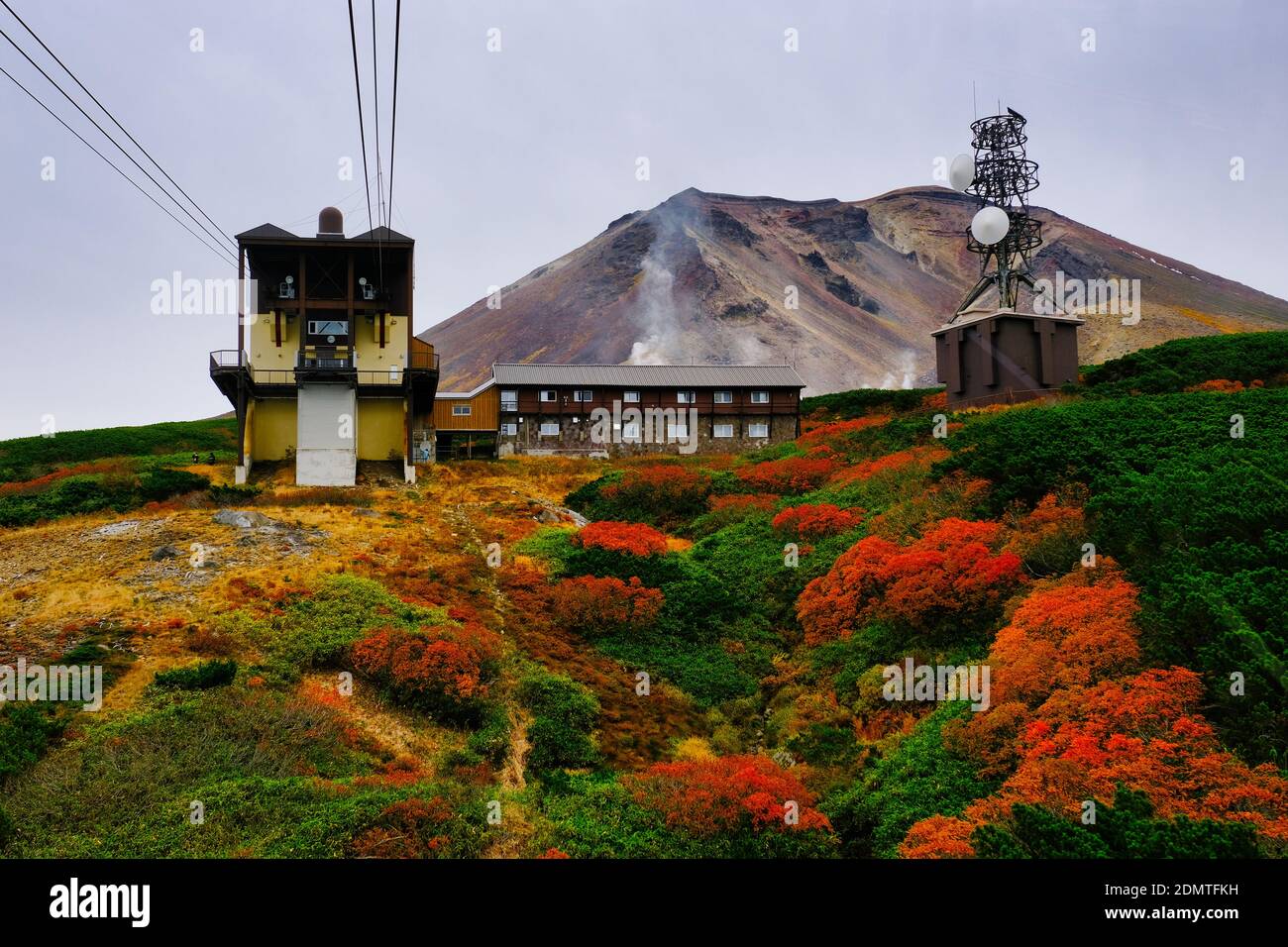 Autumn Leaves in Mt. Asahi, Hokkaido, Japan Stock Photo - Alamy