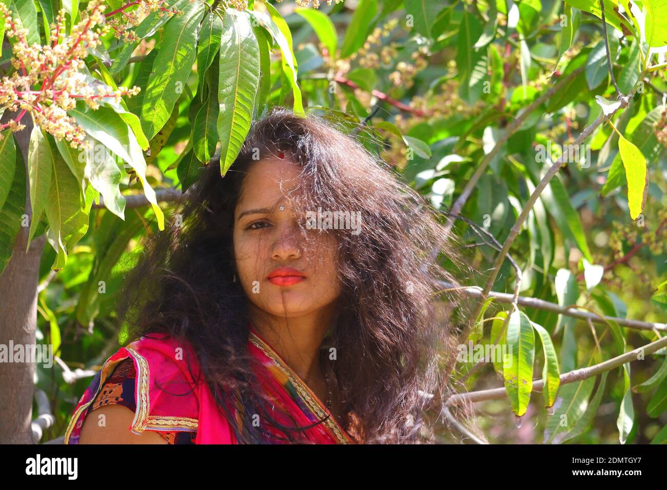 Standing under mango tree hi-res stock photography and images - Alamy