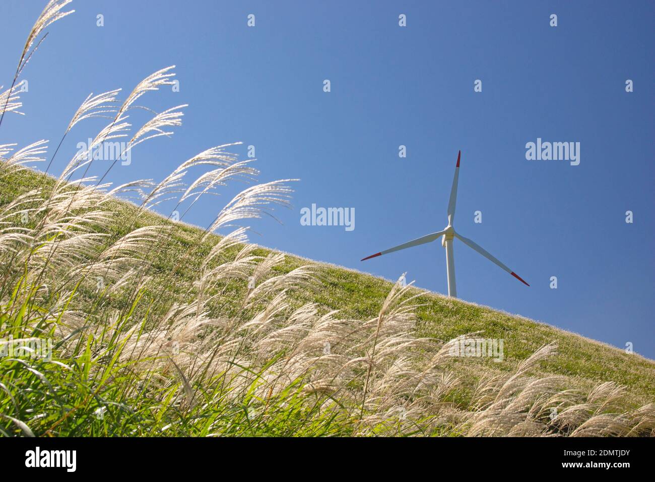 Japan wind power hi-res stock photography and images - Alamy