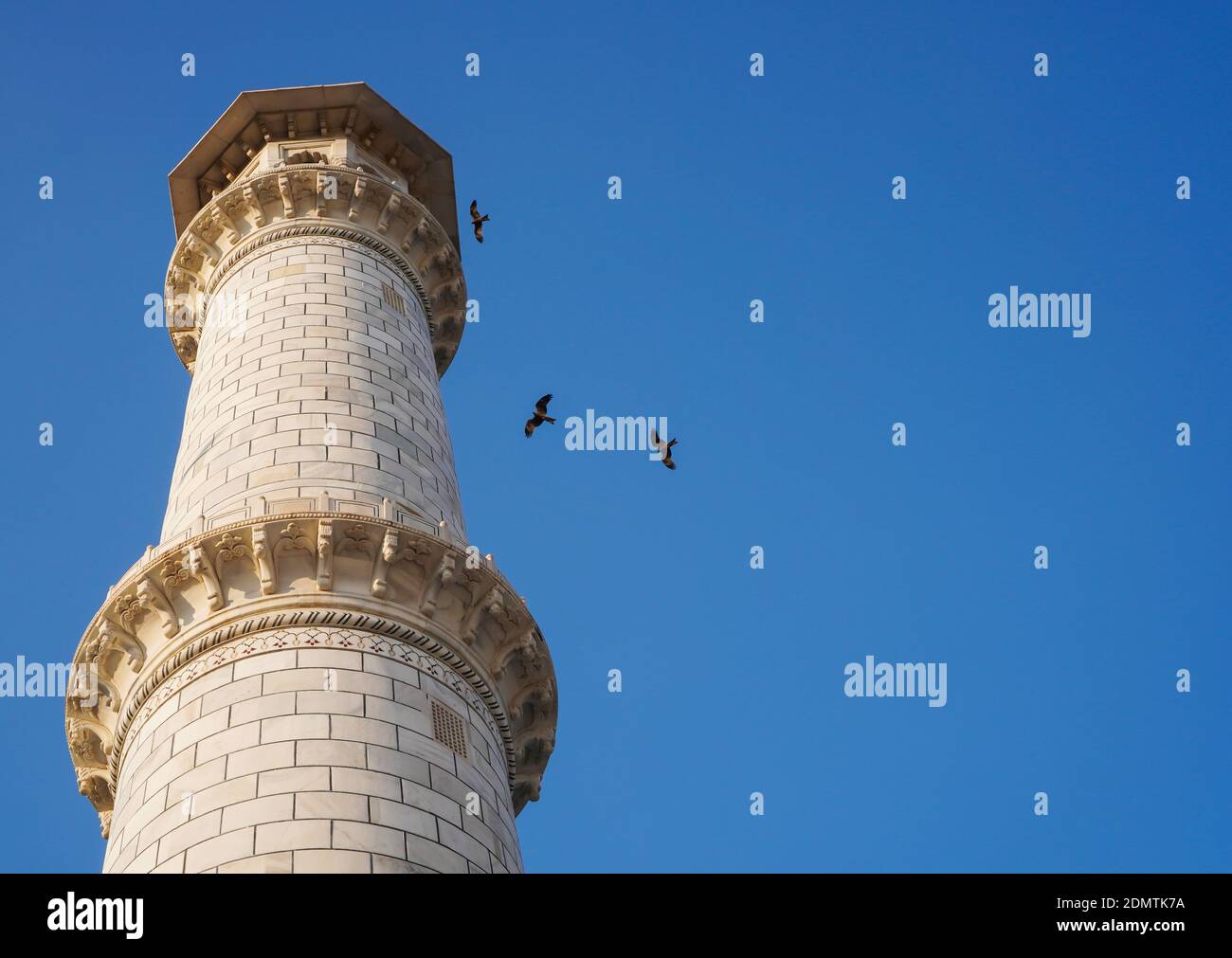 Taj Pillar View High Resolution Stock Photography and Images - Alamy