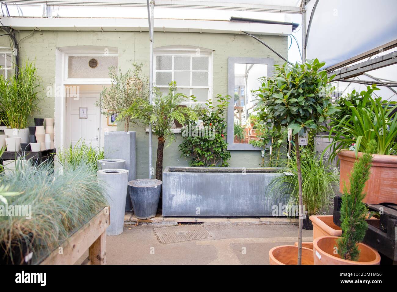 Display of plants and small trees inside a store Stock Photo - Alamy