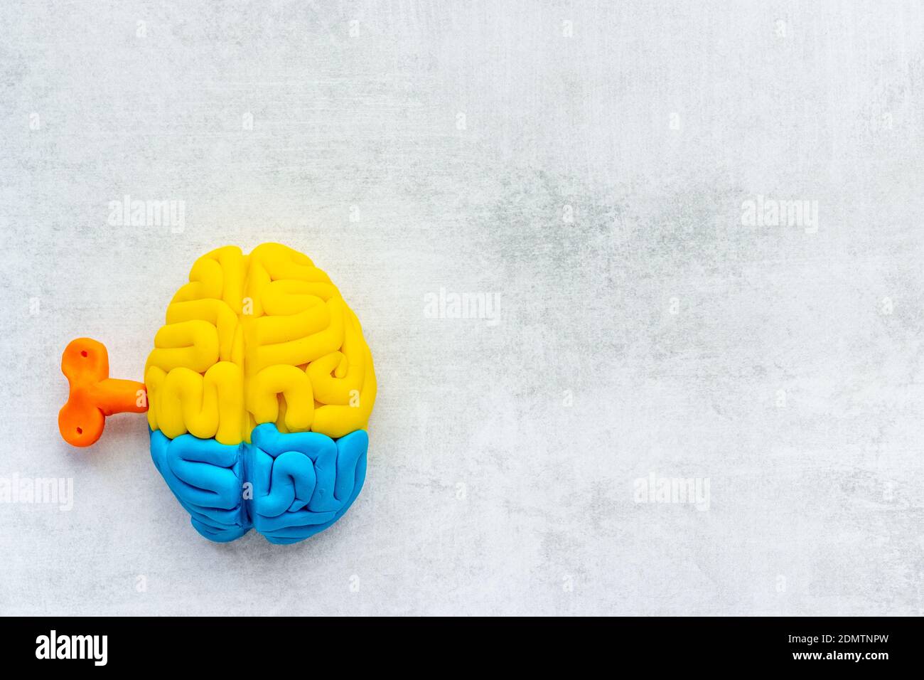 Clay model of human brain hi-res stock photography and images - Alamy