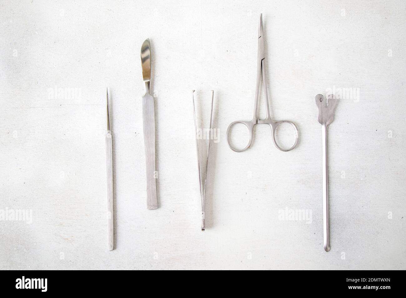 Dissection tool hi-res stock photography and images - Alamy