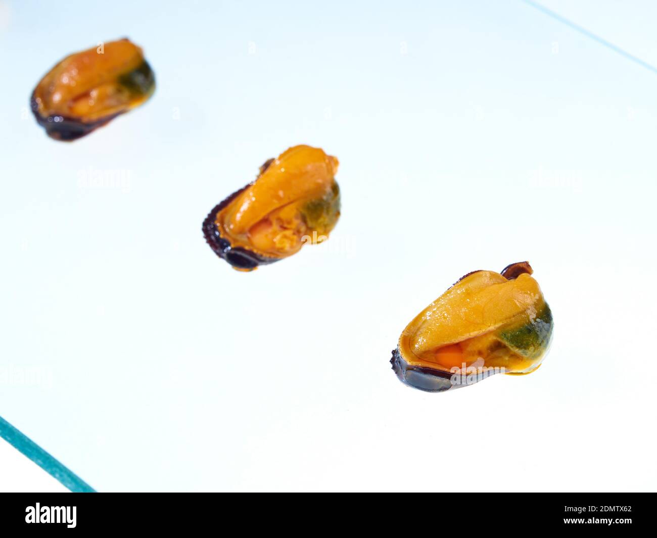Tinned mussels hi-res stock photography and images - Alamy