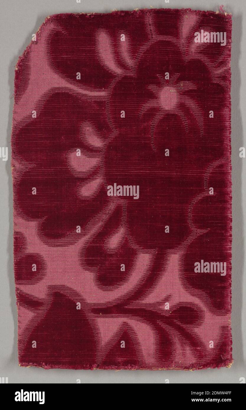 Incomplete flower hi-res stock photography and images - Alamy