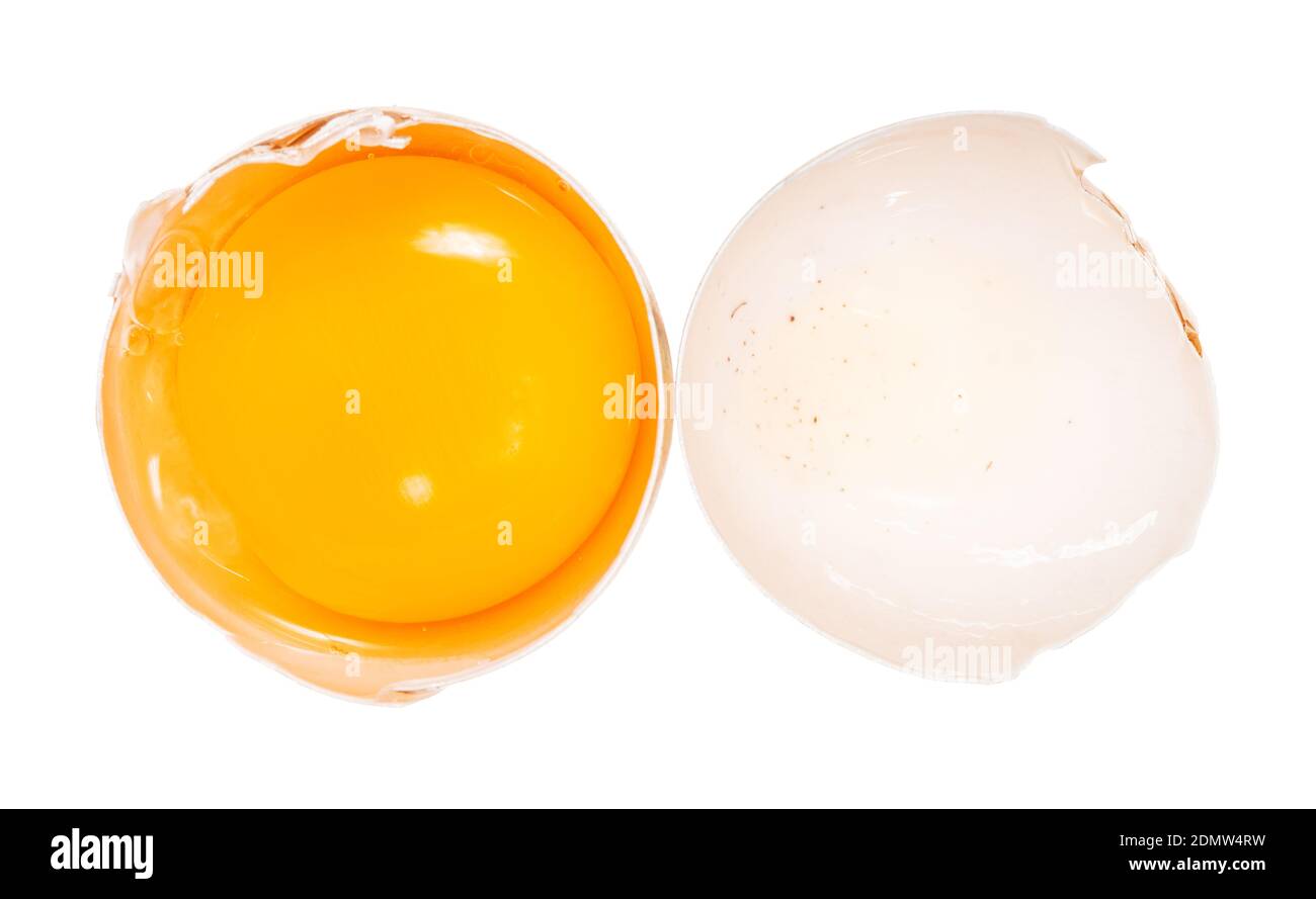 top view of separated egg yolk in half of shell and empty eggshell ...
