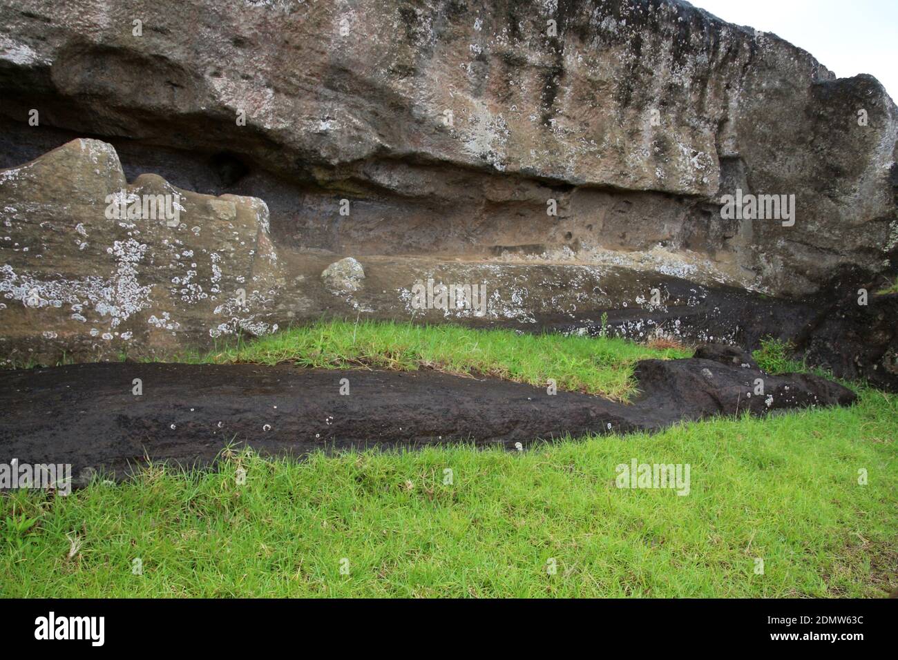 Moai that were never completed in the quarry of at Rano Raraku, Easter ...