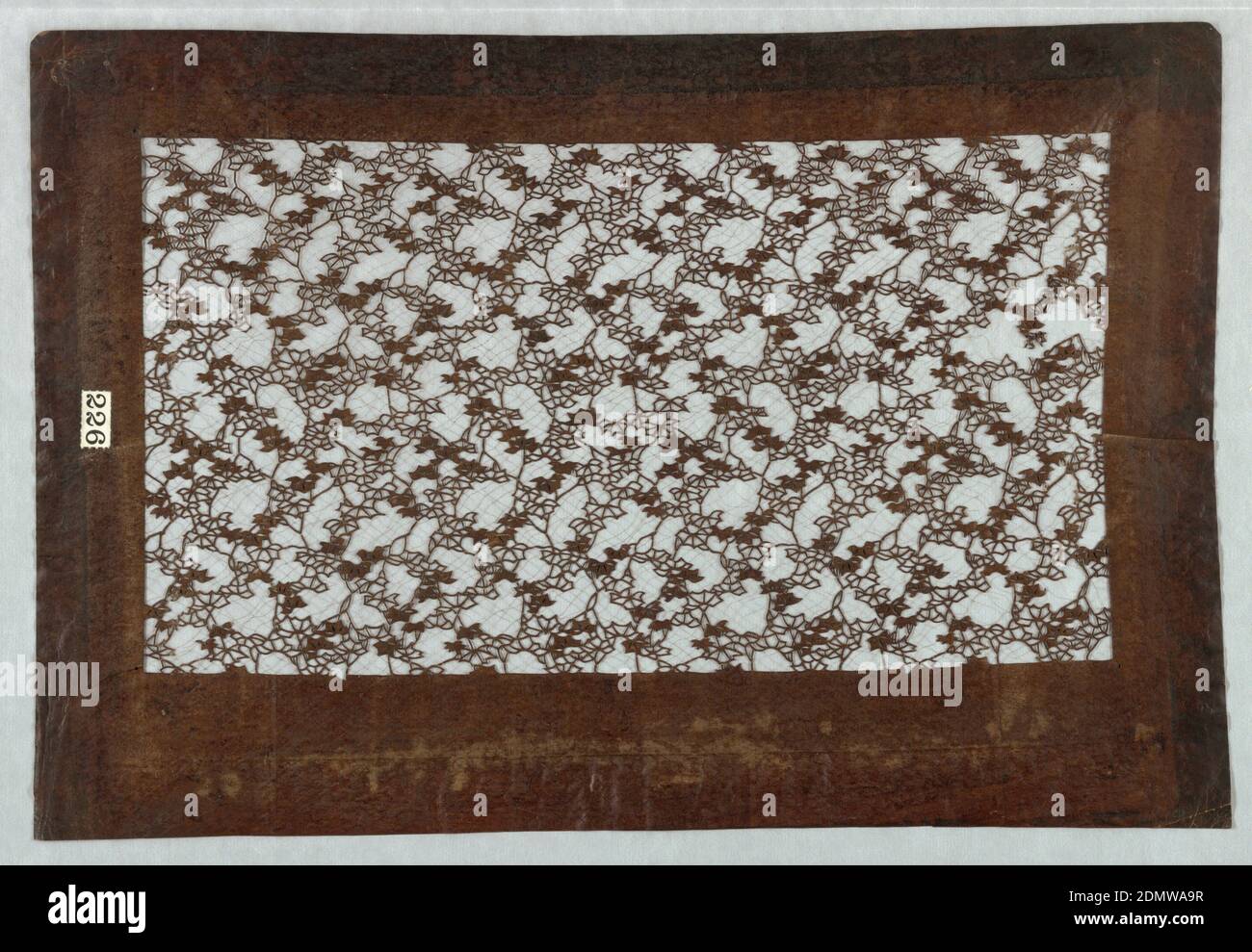 Structure of ivy hi-res stock photography and images - Alamy