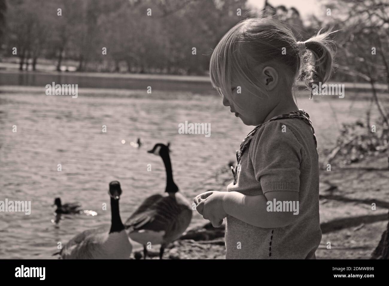 Black And White Water Girls High Resolution Stock Photography and ...