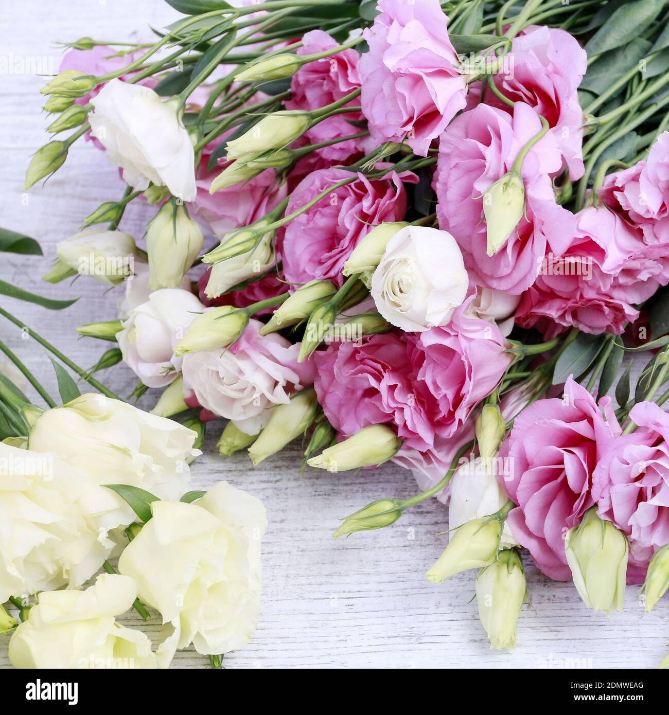 Pink and yellow eustoma (lisianthus) flowers on white wooden table ...