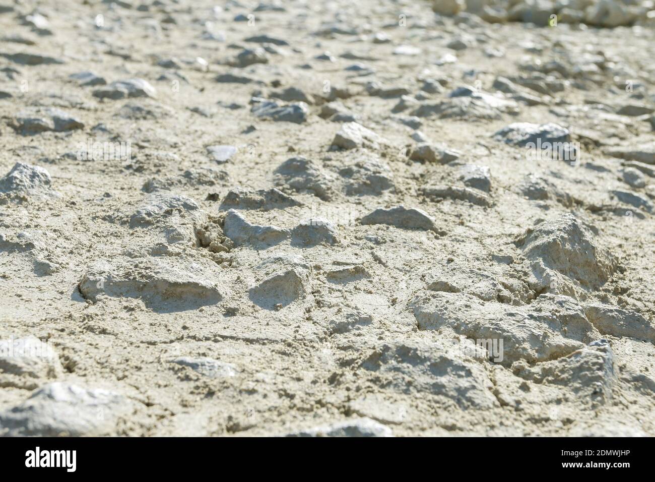 Drought background. Dried soil. Hot summer Stock Photo - Alamy