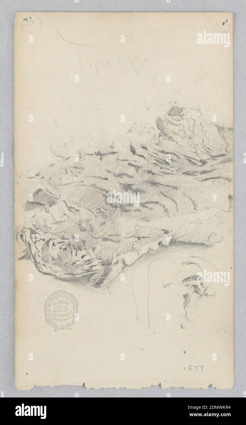 Skin drawing hi-res stock photography and images - Alamy