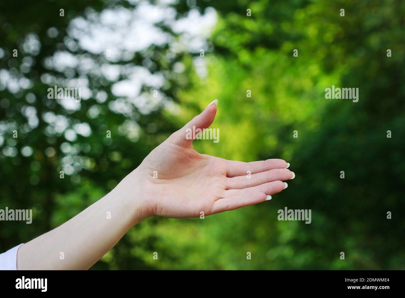 Gesture of welcome. Beautiful hands on green background. Graphic ...